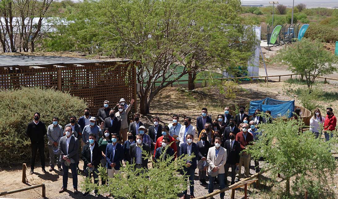 Parque Explora Lomas reabre sus puertas a la comunidad - Timeline.cl