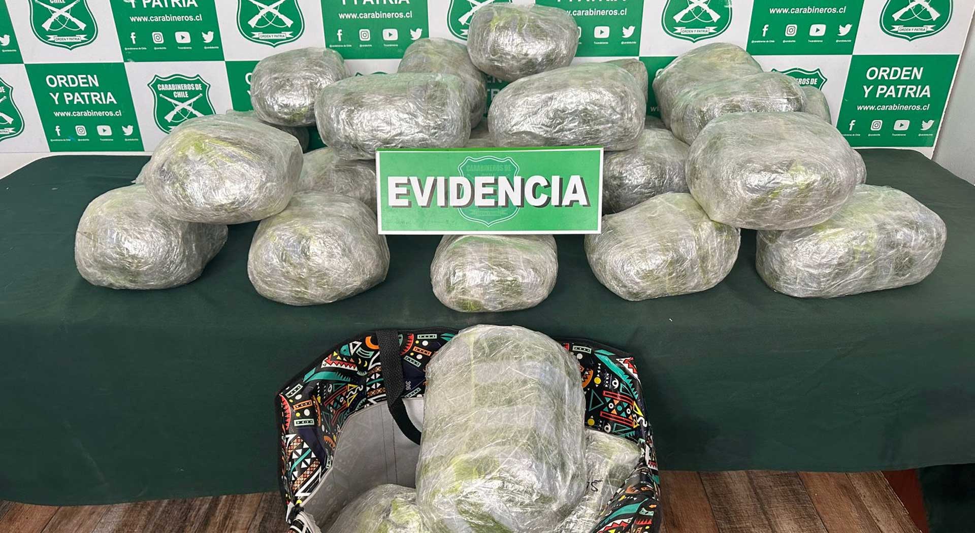 Escondieron Droga En El Desierto Y Tenían Cultivo Indoor Fiscalía