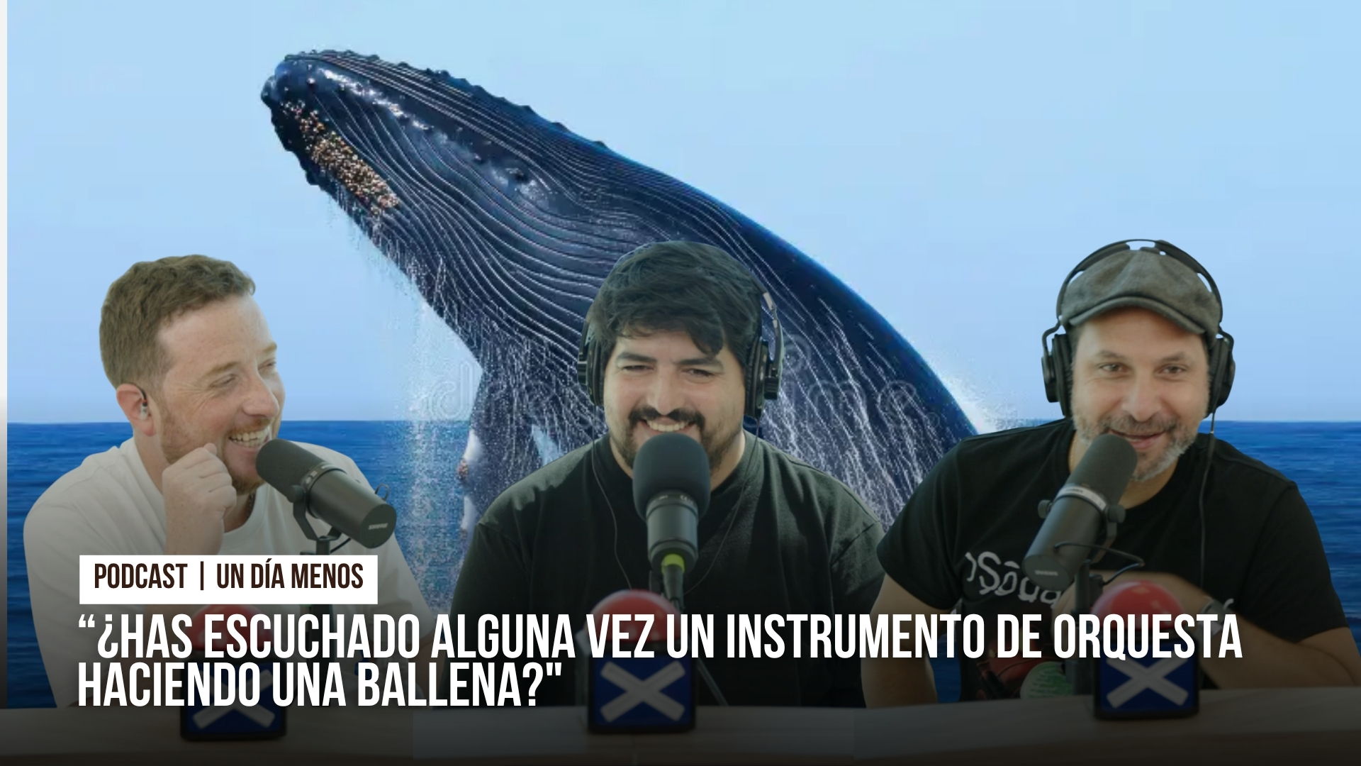 "¿Has escuchado alguna vez un instrumento de orquesta haciendo una ...