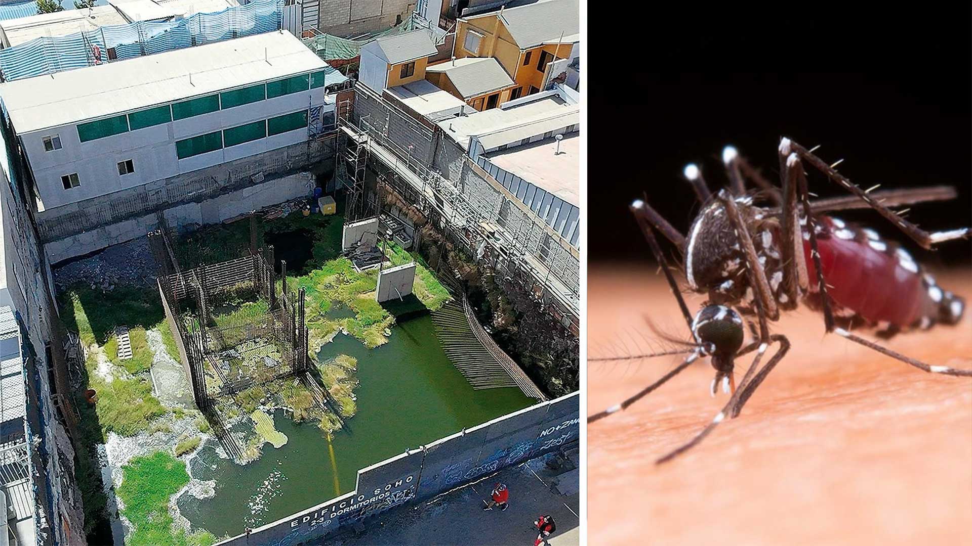 “Pantano Urbano” en plena Avenida Brasil: vecinos acusan abandono ...